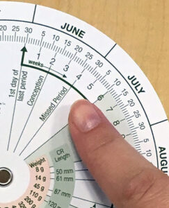 Pregnancy Wheels - Precise Affordable Due Date Calculators